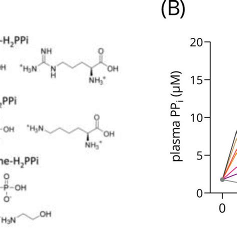 Absorption of sodium-free pyrophosphate compounds and Na 2 H 2 P 2 O 7... | Download Scientific ...