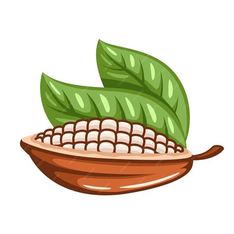 Premium Vector Cocoa Beans Isolated On White Background
