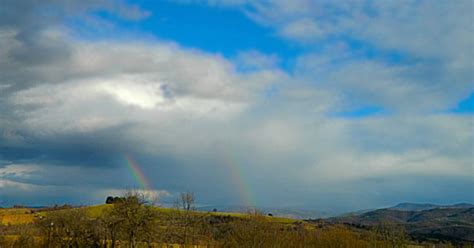 Честит Рожден Ден Гери Btv Новините