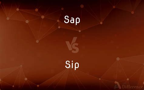 Sap Vs Sip Whats The Difference