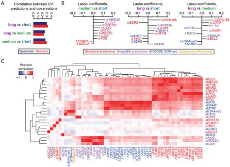A Systematic Evaluation Of The Design And Context Dependencies Of