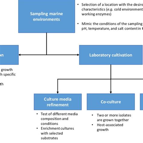 New Cultivation Approaches For Isolation Of Microbial Species From Download Scientific Diagram