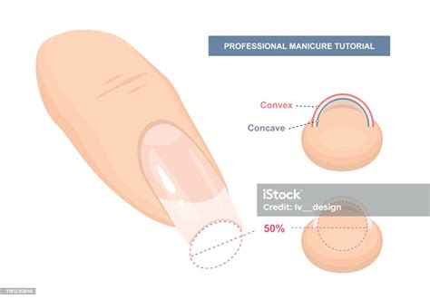올바른 C 곡선 매니큐어 튜토리얼 네일 확장 가이드 팁과 트릭 벡터 일러스트레이션 손톱에 대한 스톡 벡터 아트 및 기타 이미지 손톱 매니큐어 미용술 자습서 Istock