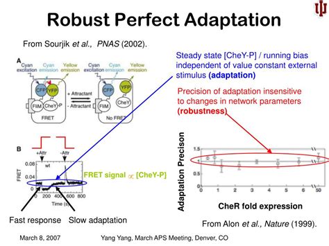 Ppt Near Perfect Adaptation In Bacterial Chemotaxis Powerpoint Presentation Id3891478