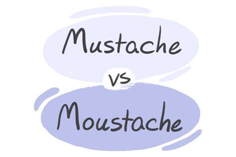 Mustache Vs Moustache In English Langeek
