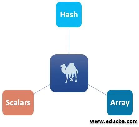 Perl Data Types Different Perl Data Types With Examples