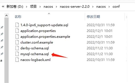 Spring Cloud Alibaba Nacos Longkui