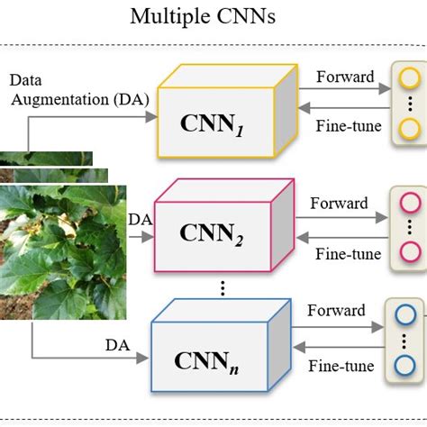 The Framework Of The Proposed Ensemble Cnns Download Scientific Diagram