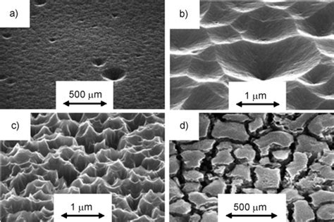 Scanning Electron Micrographs Of Accessible Etched Morphologies After A