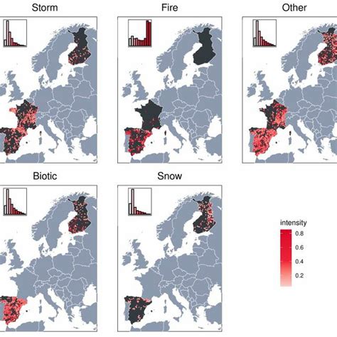 Estimation Of The Intensity Per Nfi Plot I K In Eq 2 Of A Fire Download Scientific
