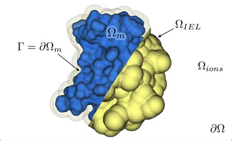 Computational Domain Ω With Molecular Domain Ωm In Blue Ion Exclusion Download Scientific