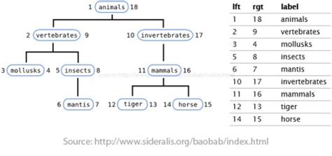 Baobab Phpmysql Library For The Nested Set Model Cube Websites