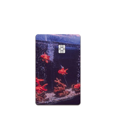 금붕어 어항 카드스킨 에이블리