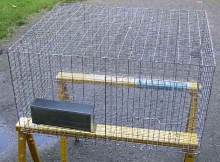 Rabbit Cage Plans How To Build Your Own Homemade All Wire Rabbit Cage Wire Rabbit Cages