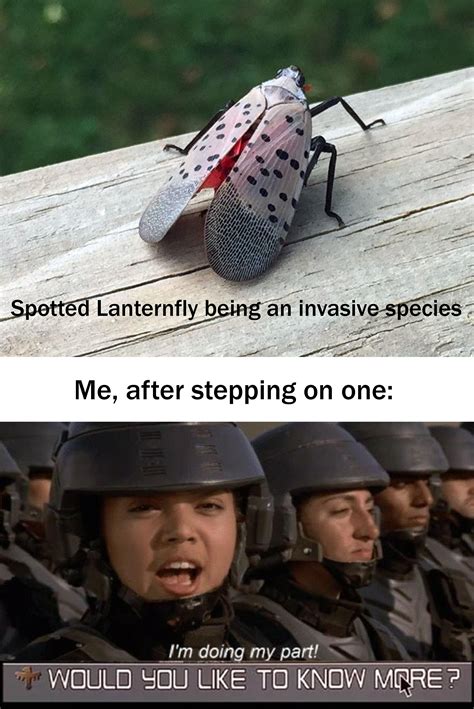 The Only Good Bug Is A Dead Bug R Funny