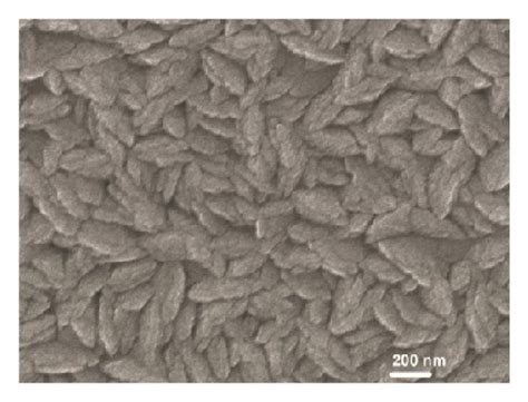 Surface Morphology Of Gzo Film With Thickness ~800 Nm On Different Zno