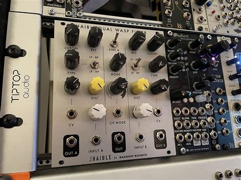 Random Source Haible Dual Wasp Filter Reverb