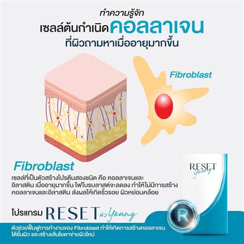 Cherish Clinic “fibroblast” สำคัญกับผิวแค่ไหน ไฟโบรบลาสต์ คือ เซลล์ที่สร้างโปรตีนสองชนิด คือ