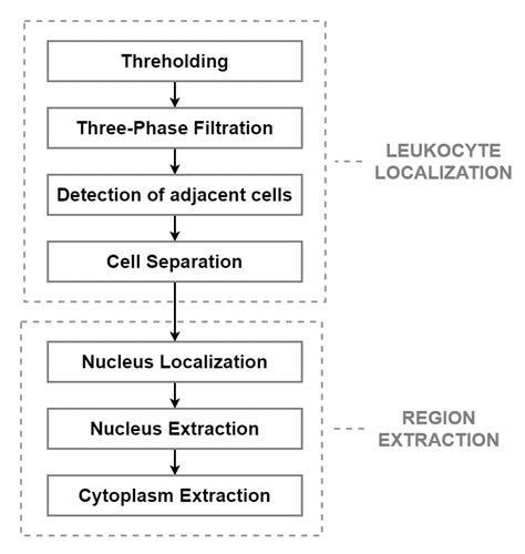 the proposed segmentation algorithm download scientific diagram