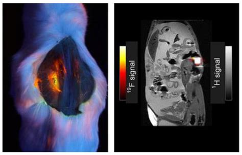 Fluorinated Bodipy Dyes Encyclopedia Mdpi