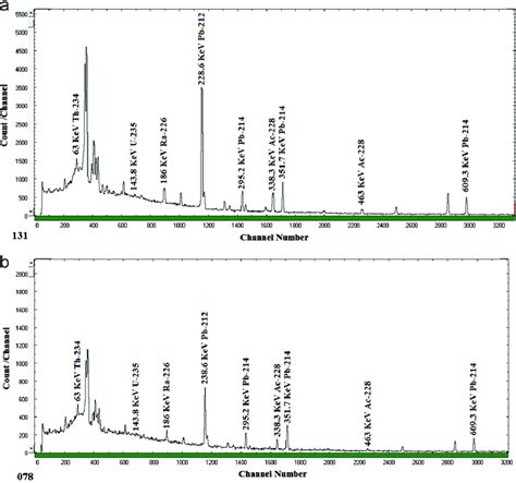 The Efficiency Calibration Curve For The Hpge Detector Download Scientific Diagram