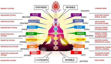 How to read auras – what is the meaning of each color? - Nexus Newsfeed