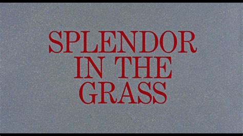 Splendor In The Grass 1961 Warner Archive Blu Ray Review