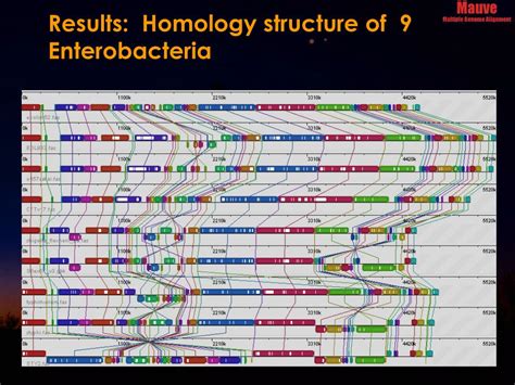 ppt mauve methods for multiple genome alignment powerpoint