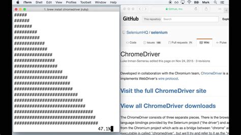 Webdriver Chrome Driver