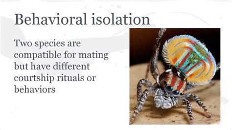 Selection And Isolation Ppt Download