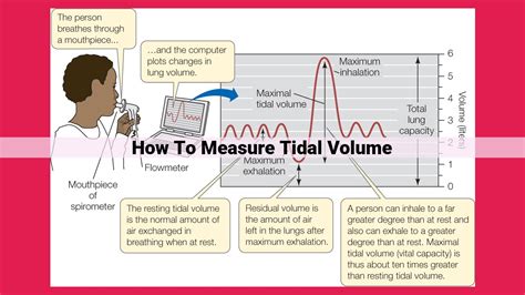 Measure Tidal Volume And Other Lung Function Parameters Accurately With