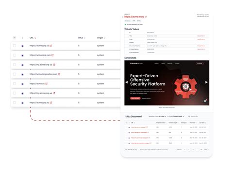 Attack Surface Management Sprocket Security