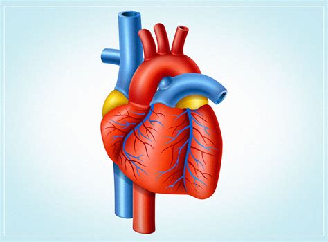 Cms Recognizes Interventional Cardiologists As A Subspecialty In 2015