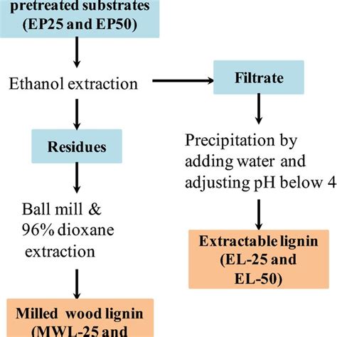 Correlation Between Lignin Structural Characteristic And Enzyme