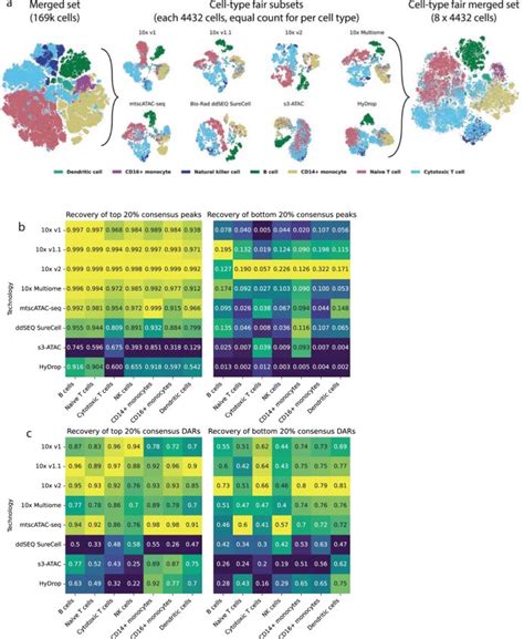 Systematic benchmarking of single-cell ATAC-sequencing protocols - PMC