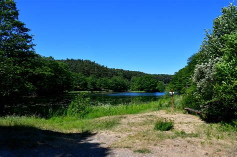광대하고 울창한 숲과 황무지로 사방이 뒤덮인 광대하면서도 얕은 호수와 화창한 여름날 볼 수 있는 허브 식물 및 기타 식물로 자란 모래 해안을 가까이서 볼 수 있습니다 0명에