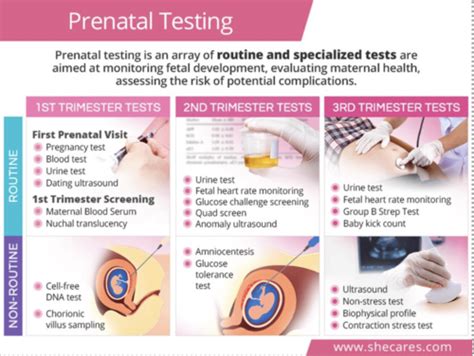 Fetal Screening And Antepartum Testing Flashcards Quizlet