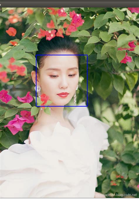 Ubuntu 1604基于opencv31实现python人脸检测在ubuntu下opencv自带的人脸检测模型在哪 Csdn博客