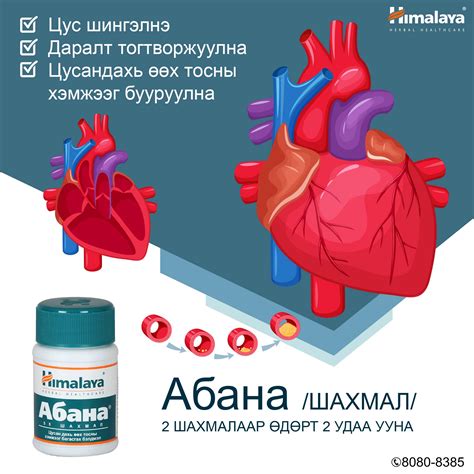 Элэг Бүтэн Эрүүл Амьдрал