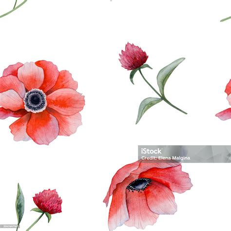 봄 꽃 수채화 완벽 한 패턴 와 빨간 양귀비 와 클로버 통하고 있는 백색 배경 밝은 들판의 꽃과 야생화 배경 직물 직물 및 문구류 꽃 식물에 대한 스톡 벡터 아트 및 기타