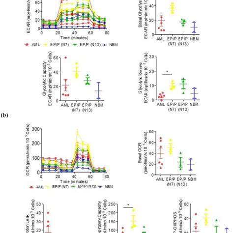 Metabolic Characterization Of Primary Aml Blasts And Early Download Scientific Diagram