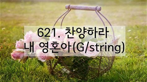 새찬송가 621장 찬양하라 내 영혼아 반음 낮춤 String Youtube