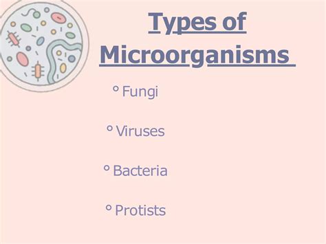 Grade 8 Microorganisms Pptx
