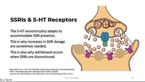Useful Graphics For Understanding Ssris Effect On Psilocybin Efficacy