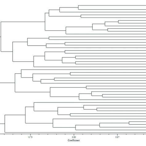 Unweighted Pair Group Method With Arithmetic Mean Upgma Dendrogram Of Download Scientific