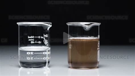 Manganeseii Hydroxide Precipitate Stock Video Science Source Images