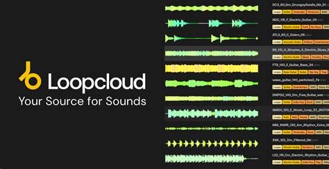 loopcloud 12 month artist plan 10 free plugins plugin boutique