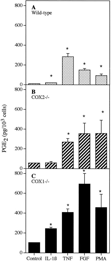 The Effect Of Cytokines And Pma On Pge2 Biosynthesis Wild Type A Download Scientific