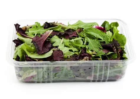 2250ml Hinge Container At ₹ 1090piece Hinged Box In Bengaluru Id