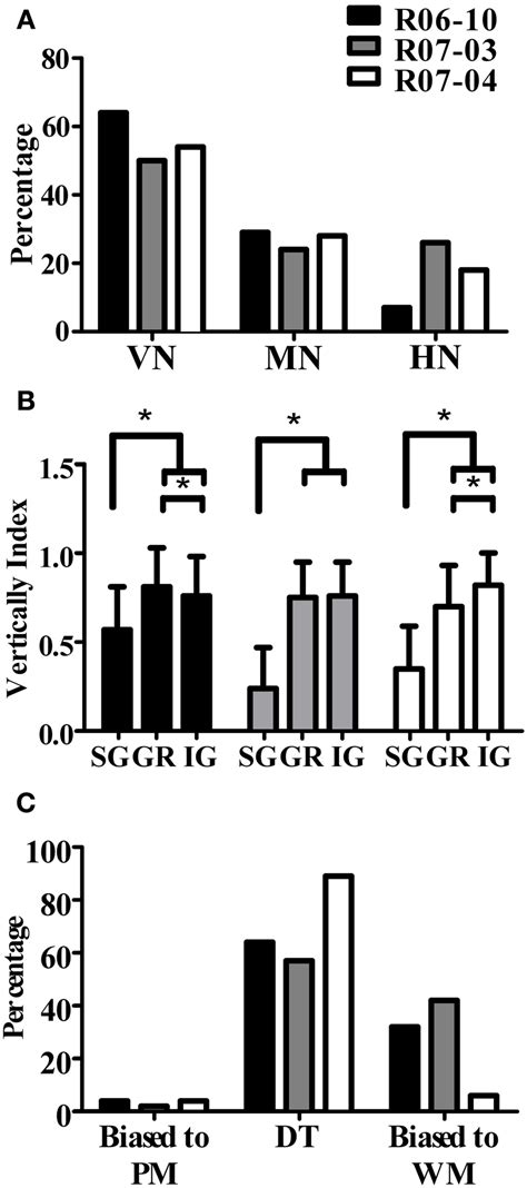 quantification of dendritic orientation a morphological types of s1